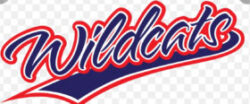 Wildcats Softball Logo – ODM® Testing